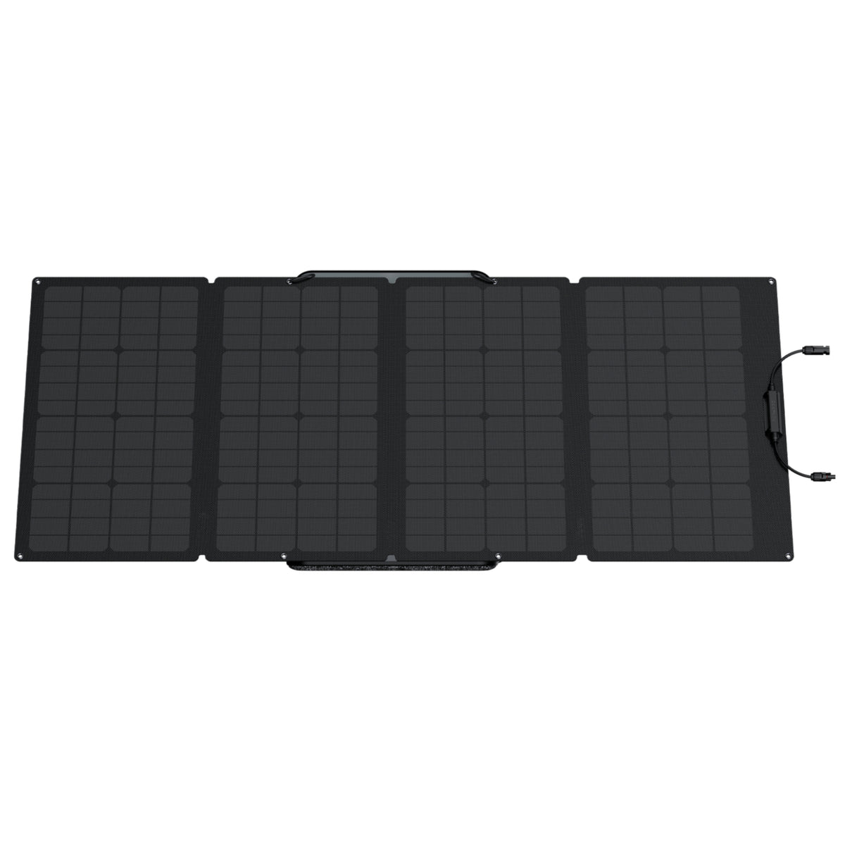 EcoFlow 160W Portable Solar Panel – PROTEUS MARINE